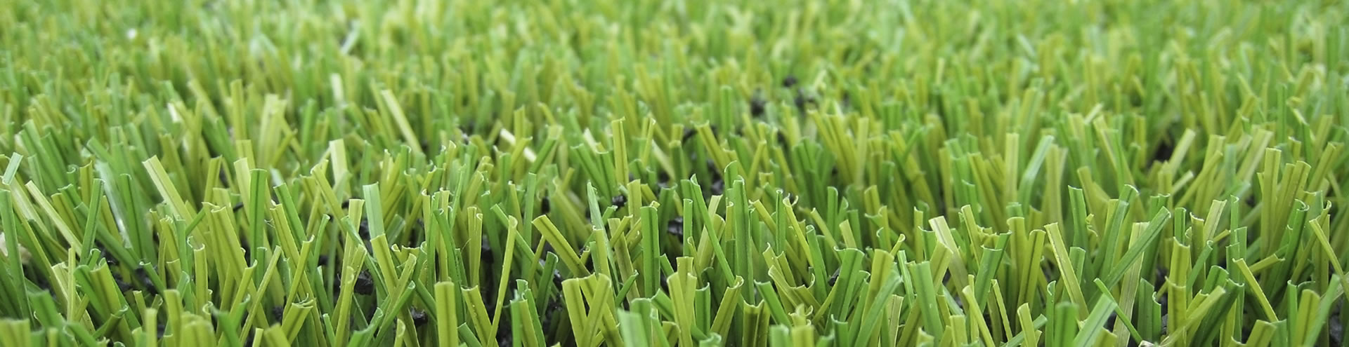 CCGrass Europe - Our Innovation