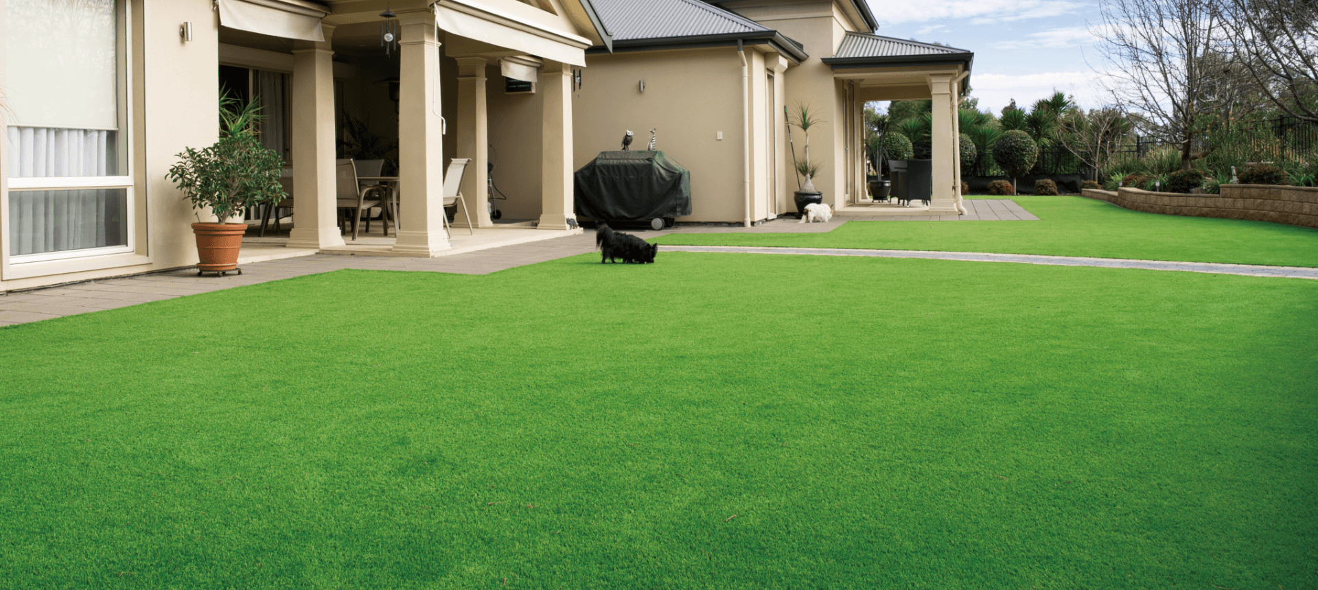 2018081406502268 - CCGrass Europe