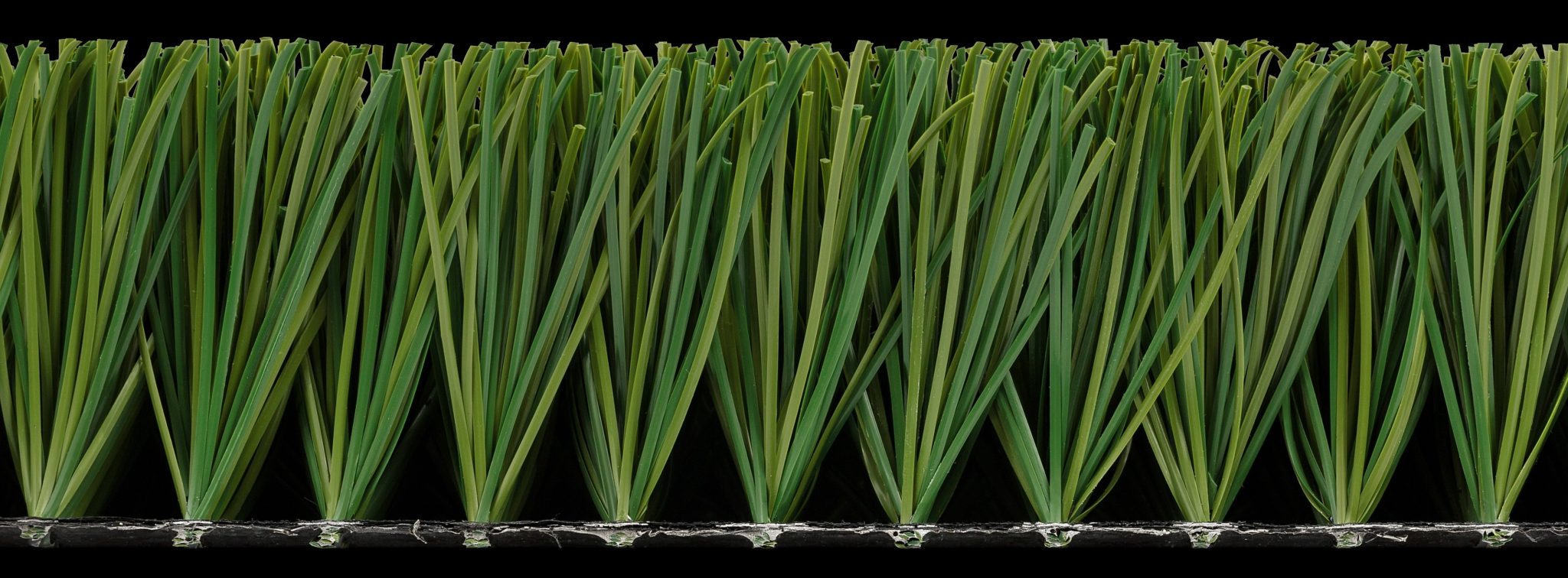 The Hive Stadium - CCGrass Europe