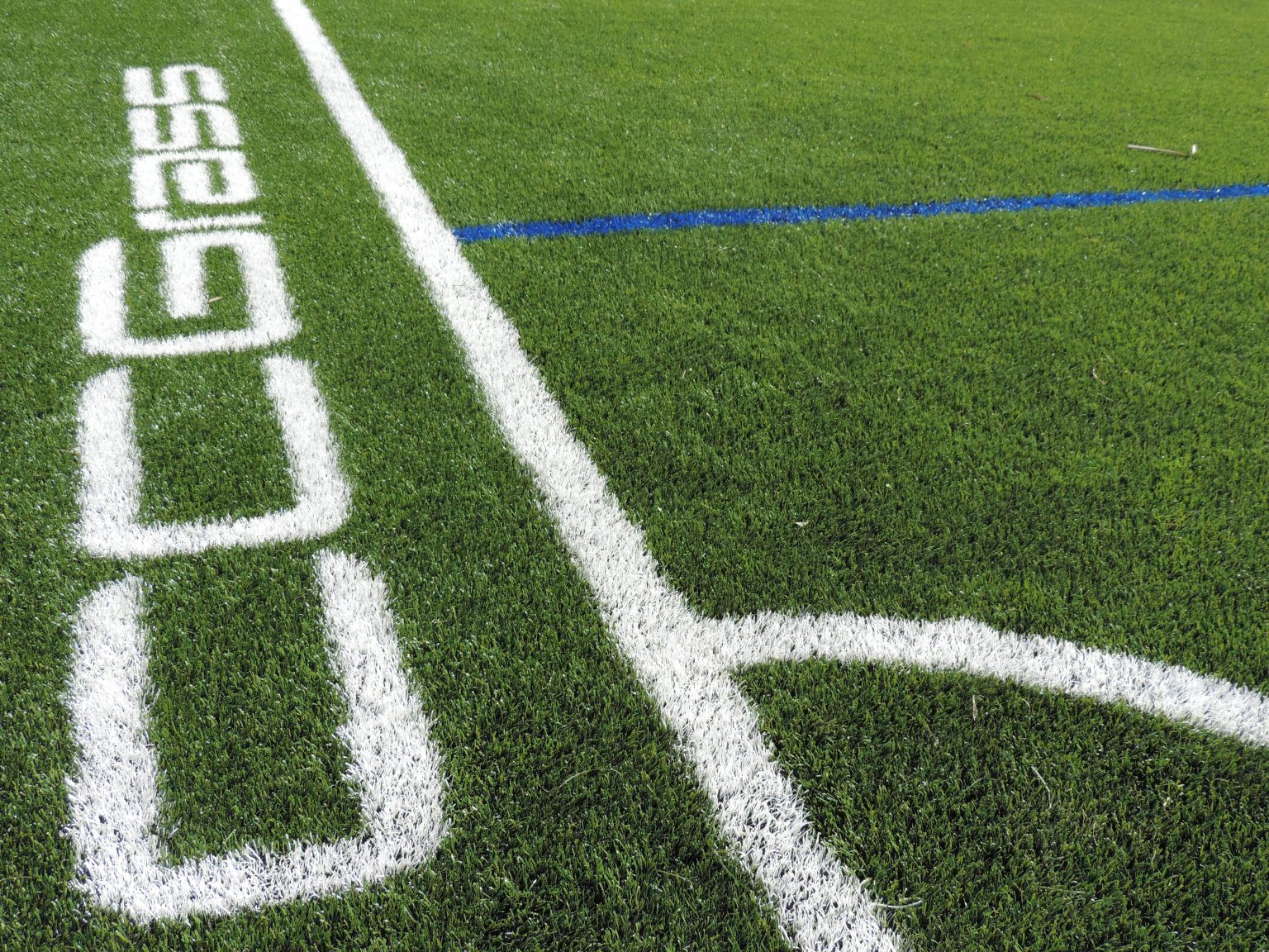 18th Edition - CCGrass Europe