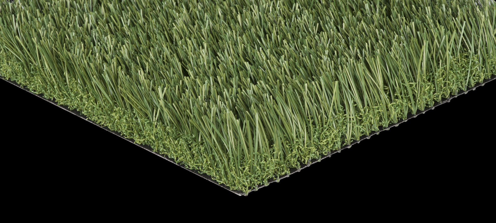 Max EX2 50 Product Review - CCGrass Europe